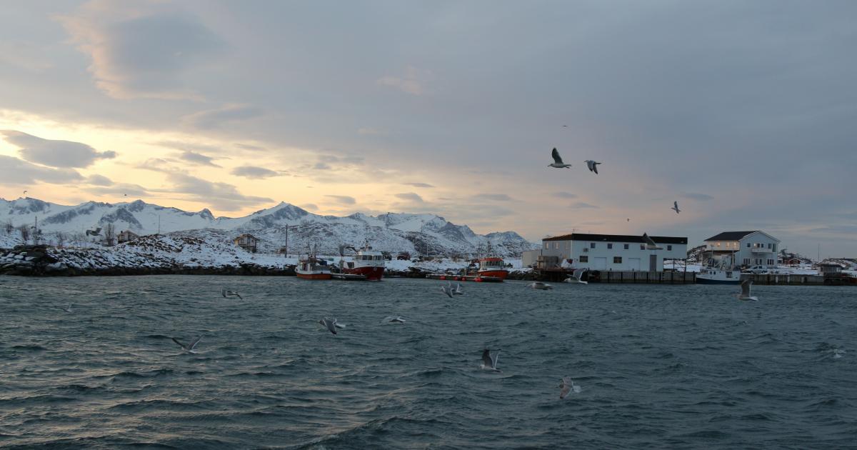 Integrated Ocean Management: Five Success Stories of Ocean Health and ...