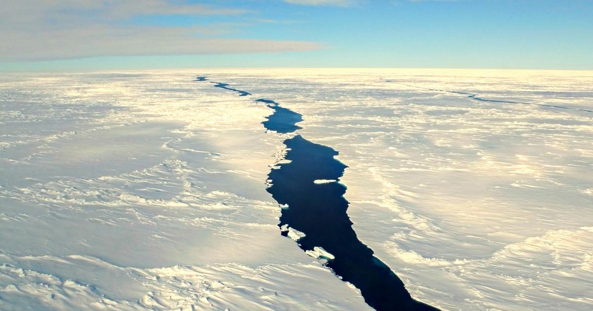 New Study Warns of Abrupt Arctic Warming as Canadian Ice Shelf Collapses