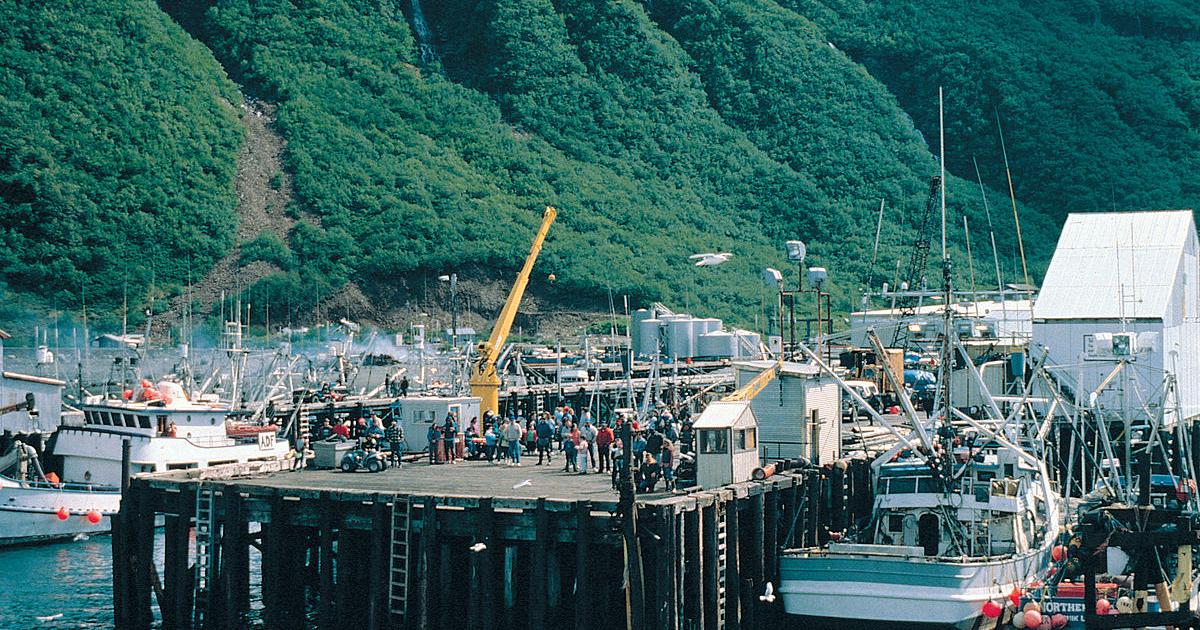 This Year's Salmon Harvest in Alaska Worth USD 720 Million