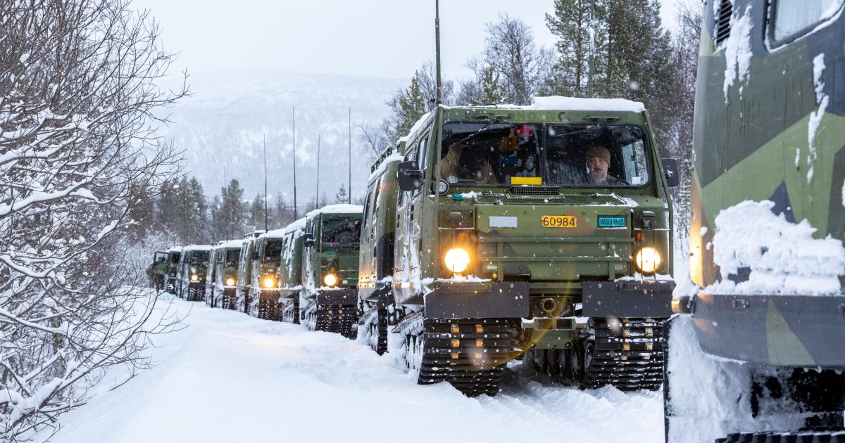 Joint Viking 2025: 10,000 Soldiers From 9 Nations Exercise Defending ...