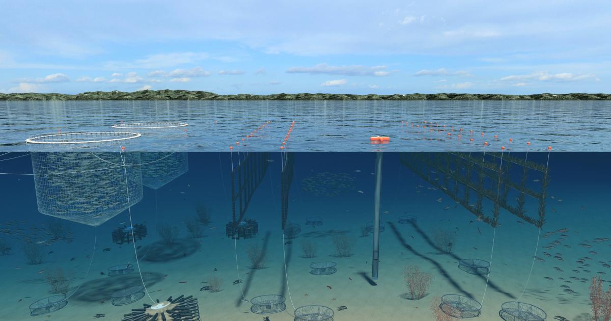 Kommentar: En tid for grå svaner og blanke ark