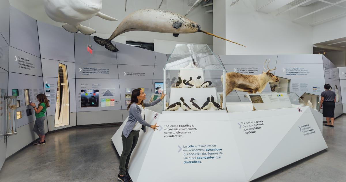 New Permanent Arctic Exhibit in Canada’s Capital