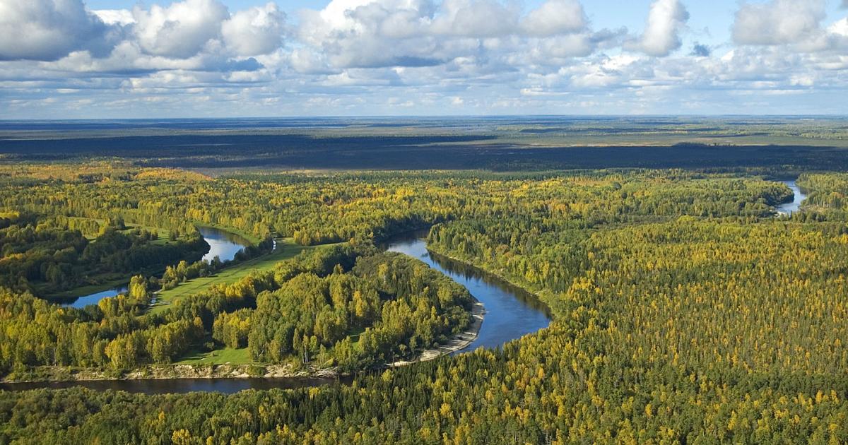 Siberian Rivers and Thawing Permafrost: A Precarious Pair of Carbon ...